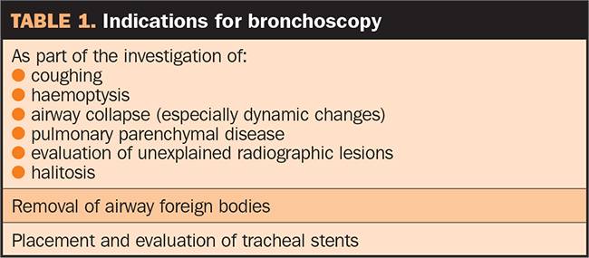 Bronchoscopy: approaches to evaluation and sampling