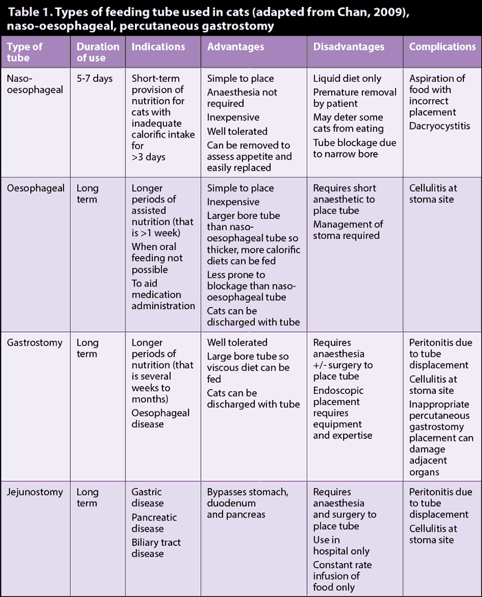 Why, when, which and how to use feeding tubes in cats