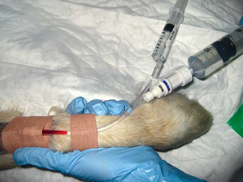 Chemotherapy in general practice