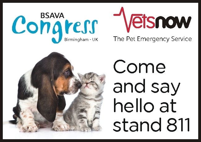 Start your ECC career with Vets Now