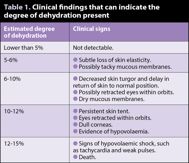Companion animal fluid therapy part 2: planning and monitoring