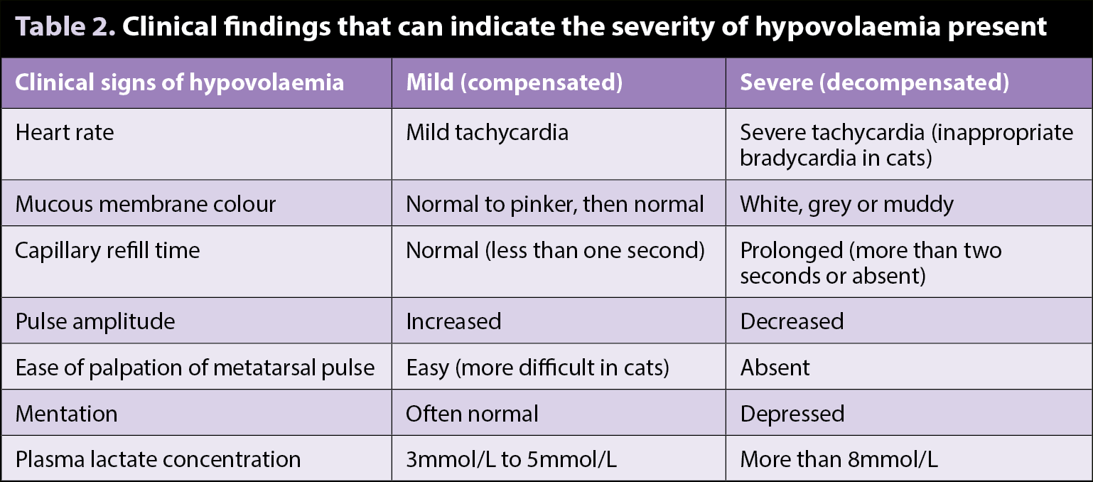 Companion animal fluid therapy part 2: planning and monitoring