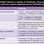 Companion animal fluid therapy part 2: planning and monitoring