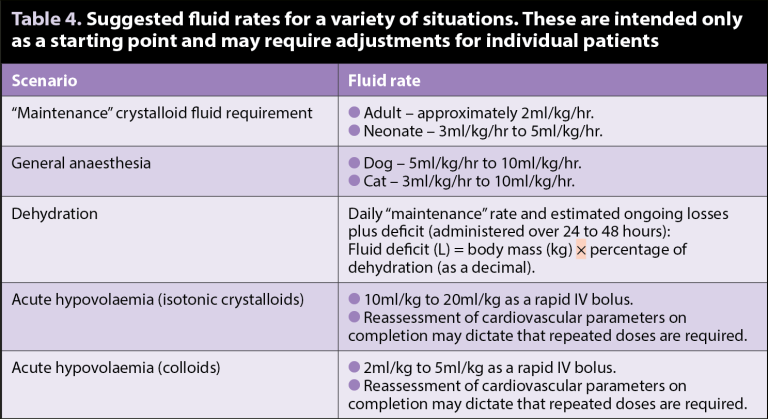 Companion animal fluid therapy part 2: planning and monitoring