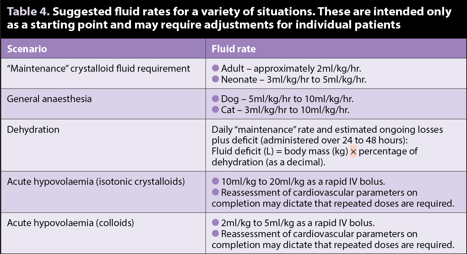 Companion animal fluid therapy part 2: planning and monitoring