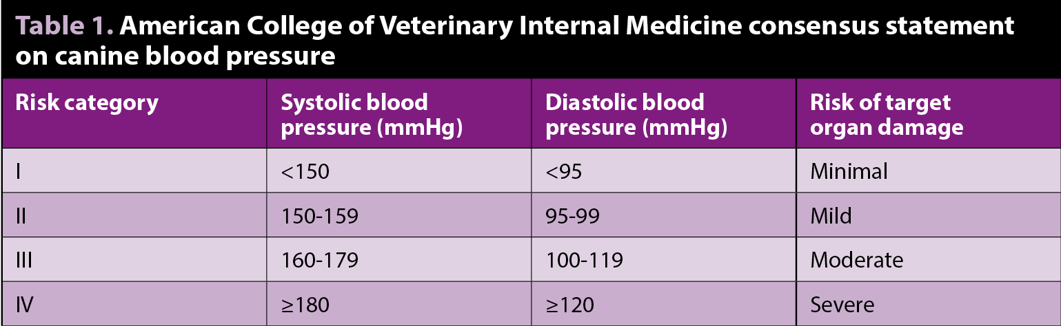 Management and treatment of hypotension and hypertension