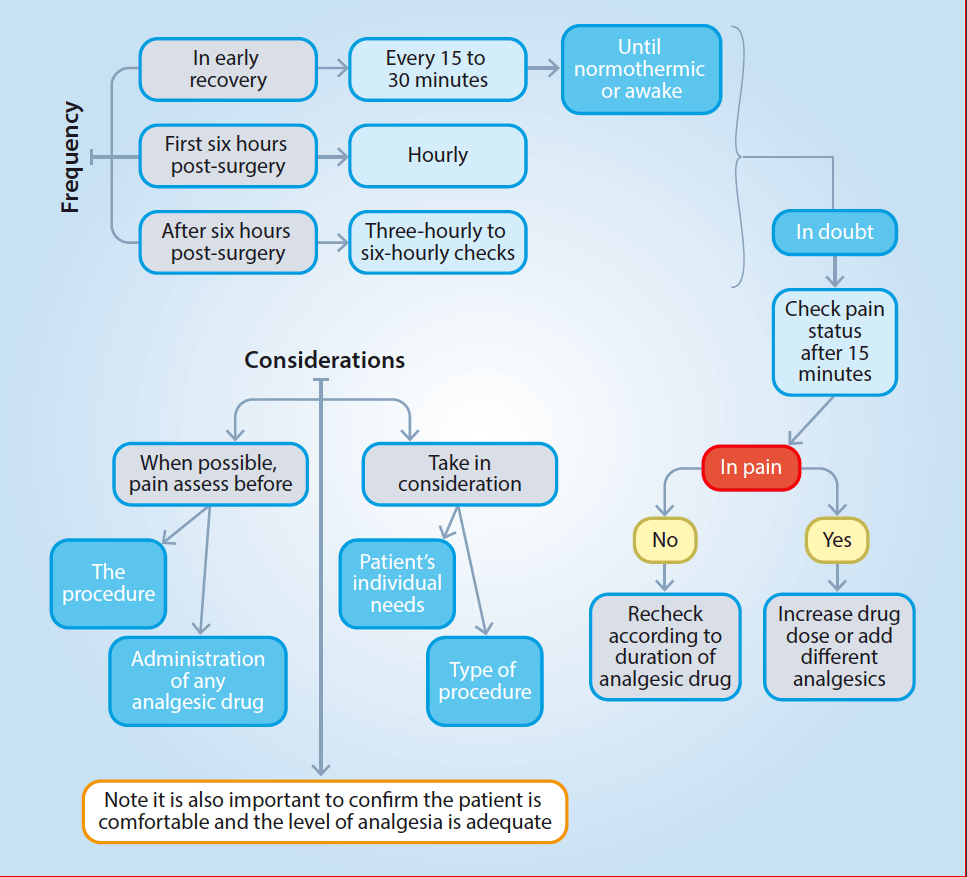 Postoperative pain management in companion animals: an update