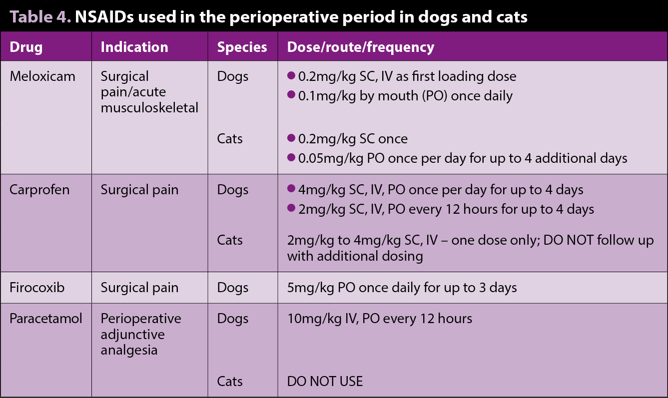 Postoperative pain management in companion animals: an update