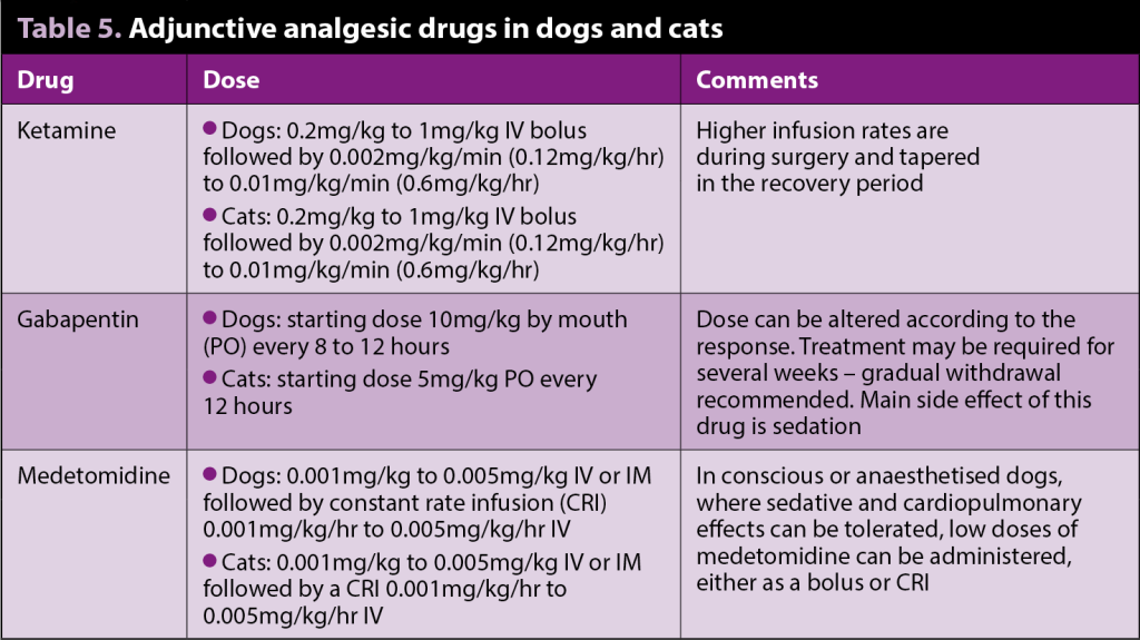 Postoperative pain management in companion animals: an update