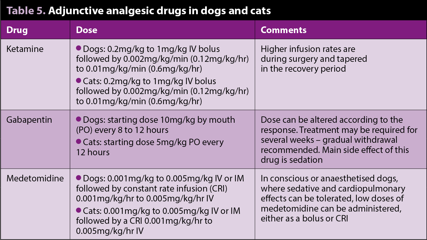 Postoperative pain management in companion animals: an update