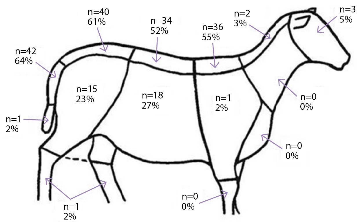 Body condition scoring by sheep farmers – awareness and use