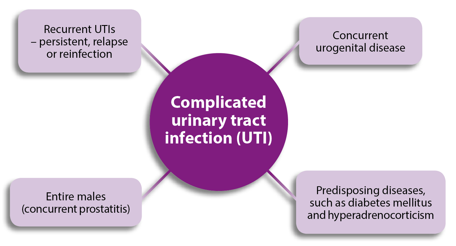 Vet Times: Latest Veterinary News, Jobs & Clinical Resources