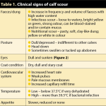 Diagnosing and treating calf scour