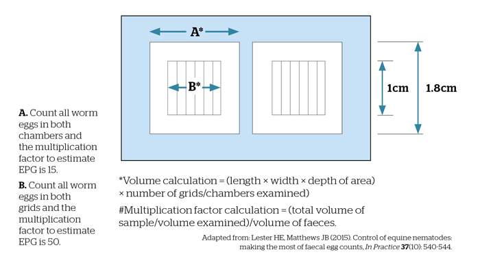 Vet Times: Latest Veterinary News, Jobs & Clinical Resources