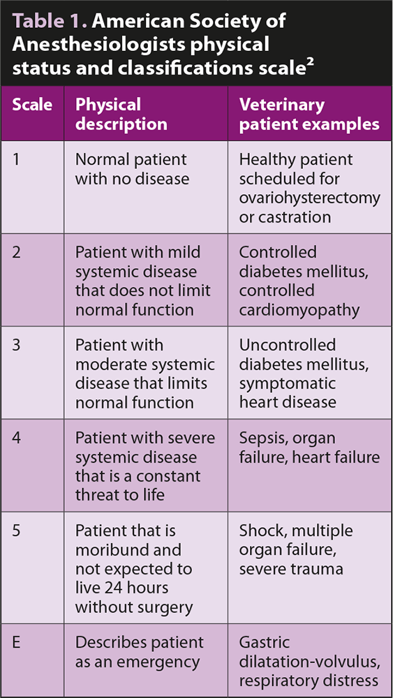 Management of anaesthetic emergencies in companion animals