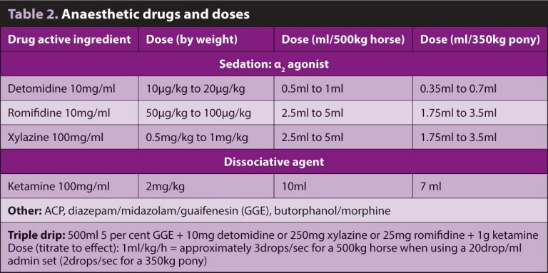 Practical equine sedation and general anaesthesia in the field
