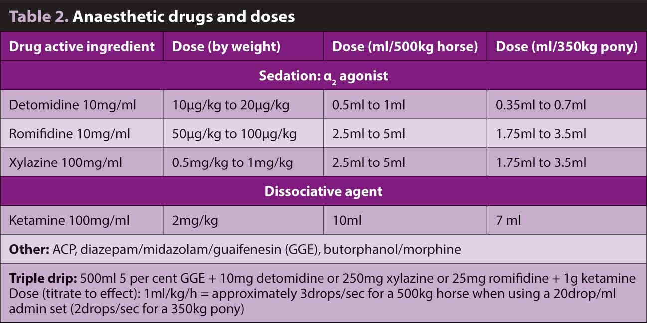 Practical equine sedation and general anaesthesia in the field