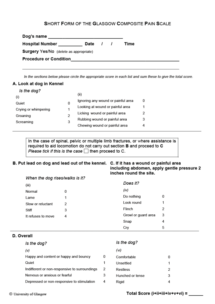 Pain behaviours in dogs and cats