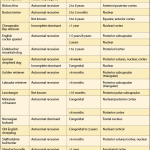 Canine cataracts: classification, aetiology and complications