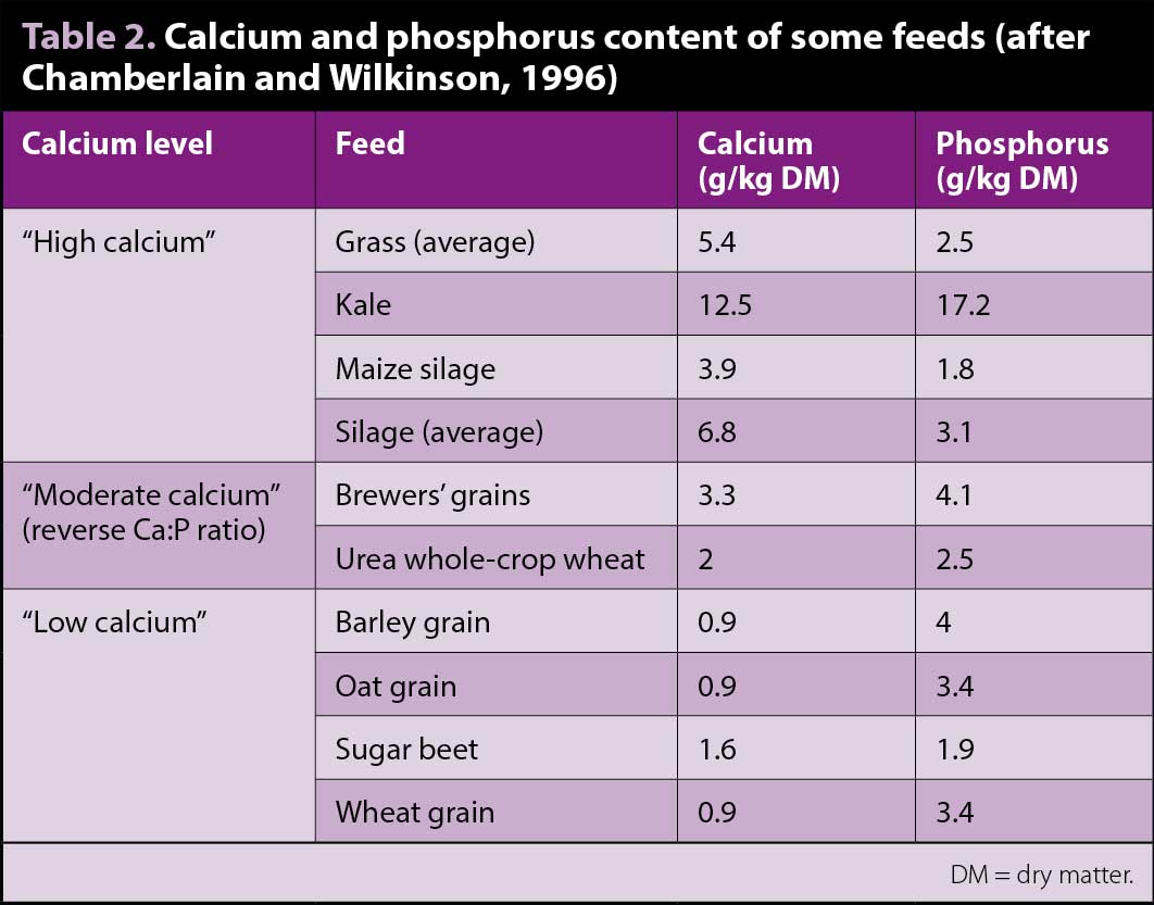 Vet Times: Latest Veterinary News, Jobs & Clinical Resources