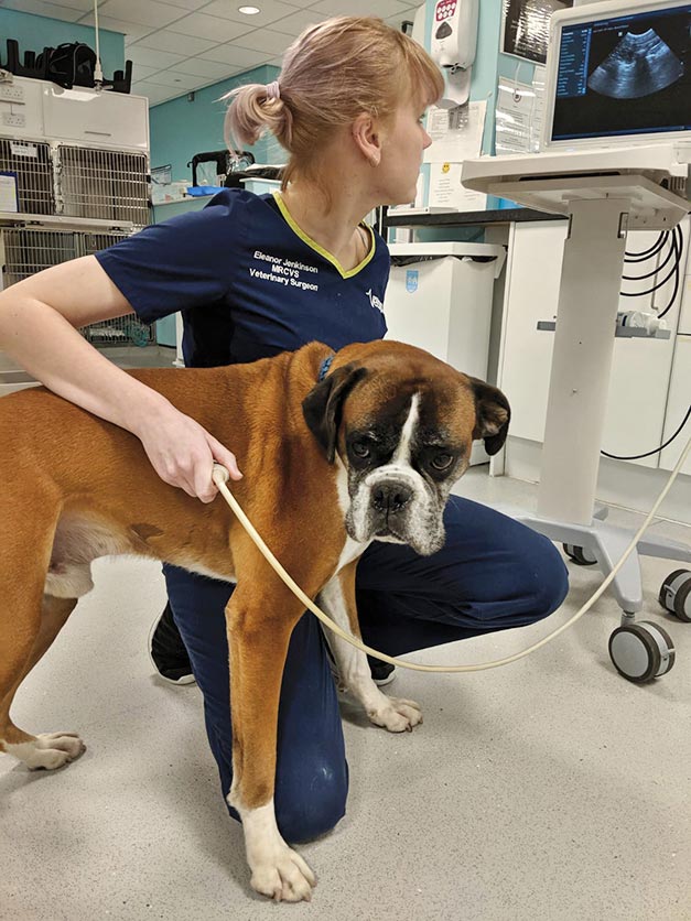 Common emergency presentations – the initial triage: as easy as ABC