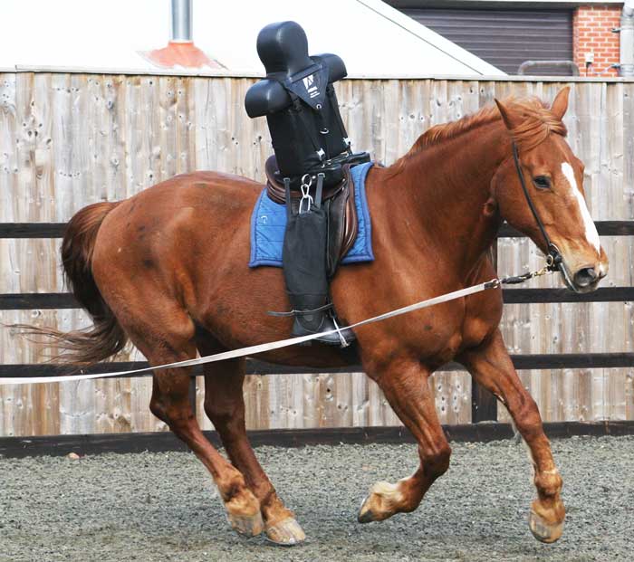 Diagnosing thoracolumbosacral pain: ridden versus genuine types
