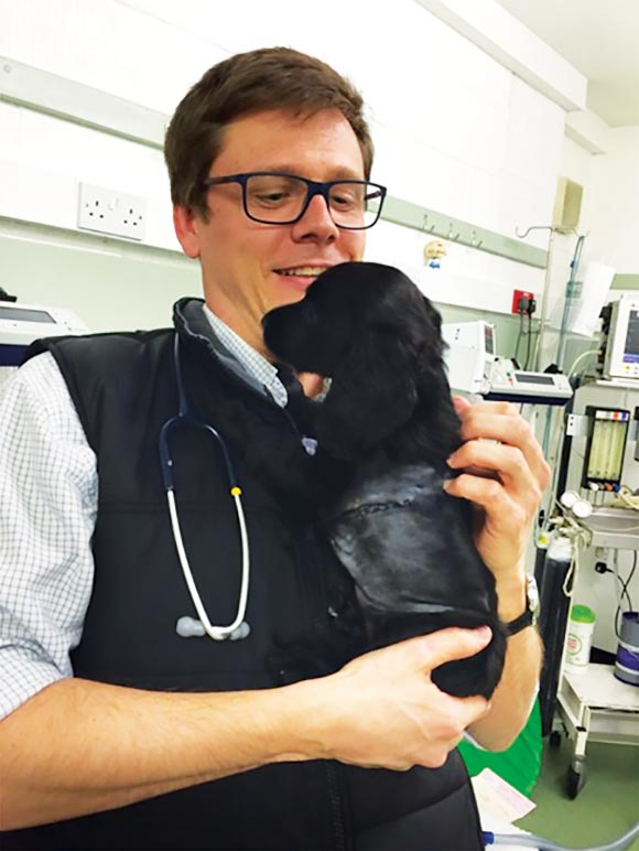 Mechanical ventilation to treat severe congestive heart failure