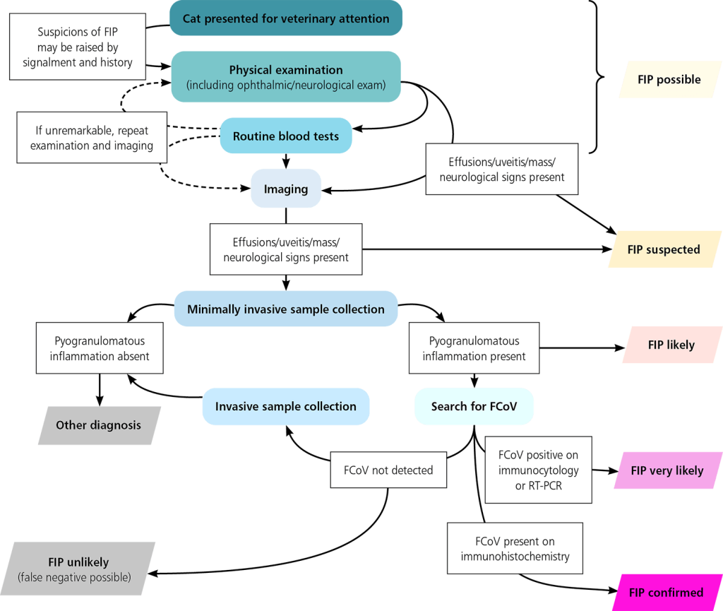 FIP: how do I prove it?