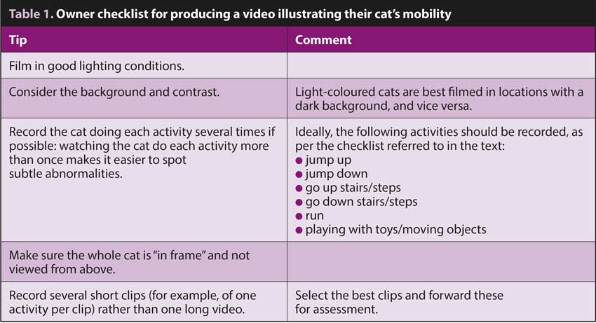 Degenerative joint disease: diagnosing arthritis in cats