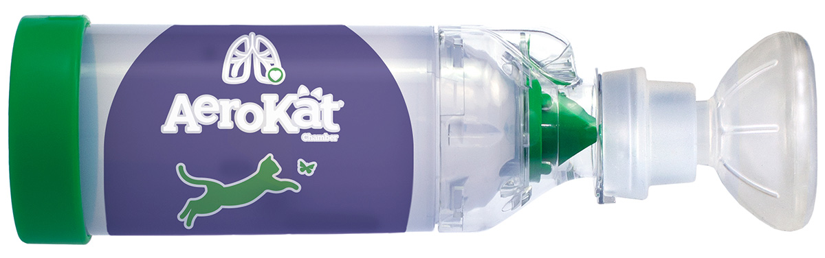 Update on the use of inhalers in feline asthma