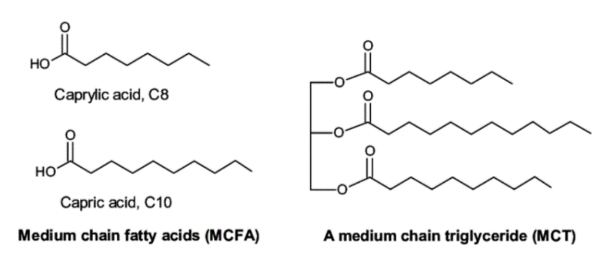 Medium chain triglycerides – their role in brain health