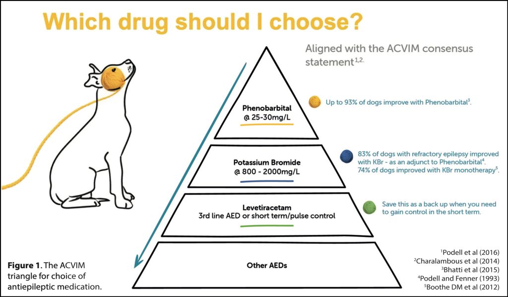 Treatment of canine epilepsy