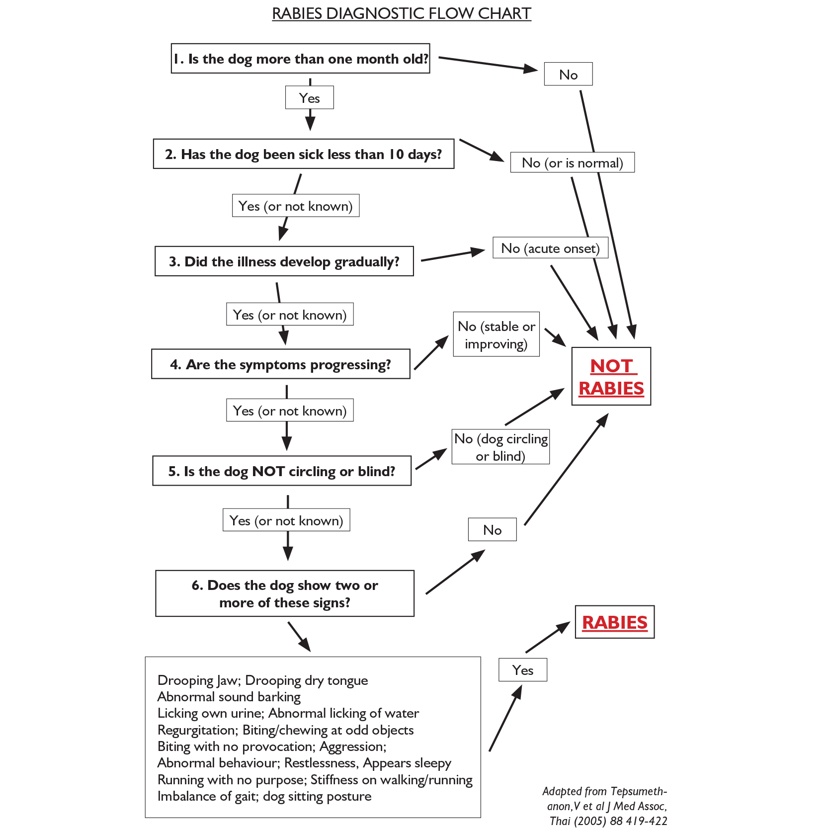 Rabies: spotting signs and disease diagnosis