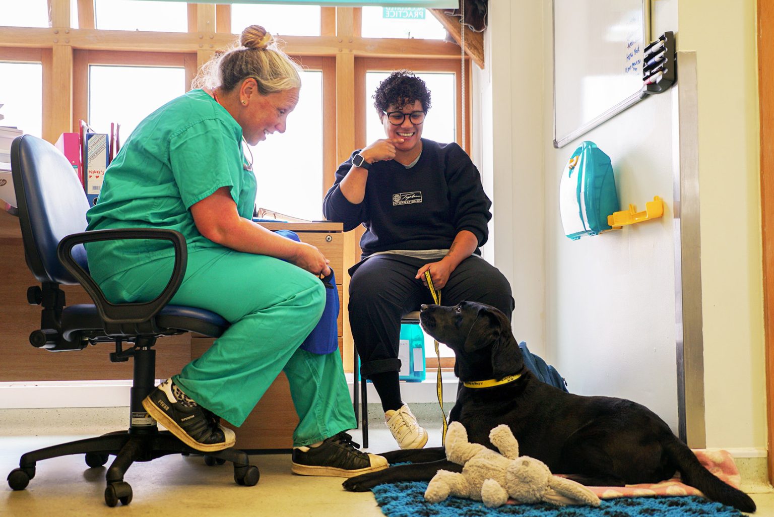 Creating dog-friendly clinics to help behaviour and welfare