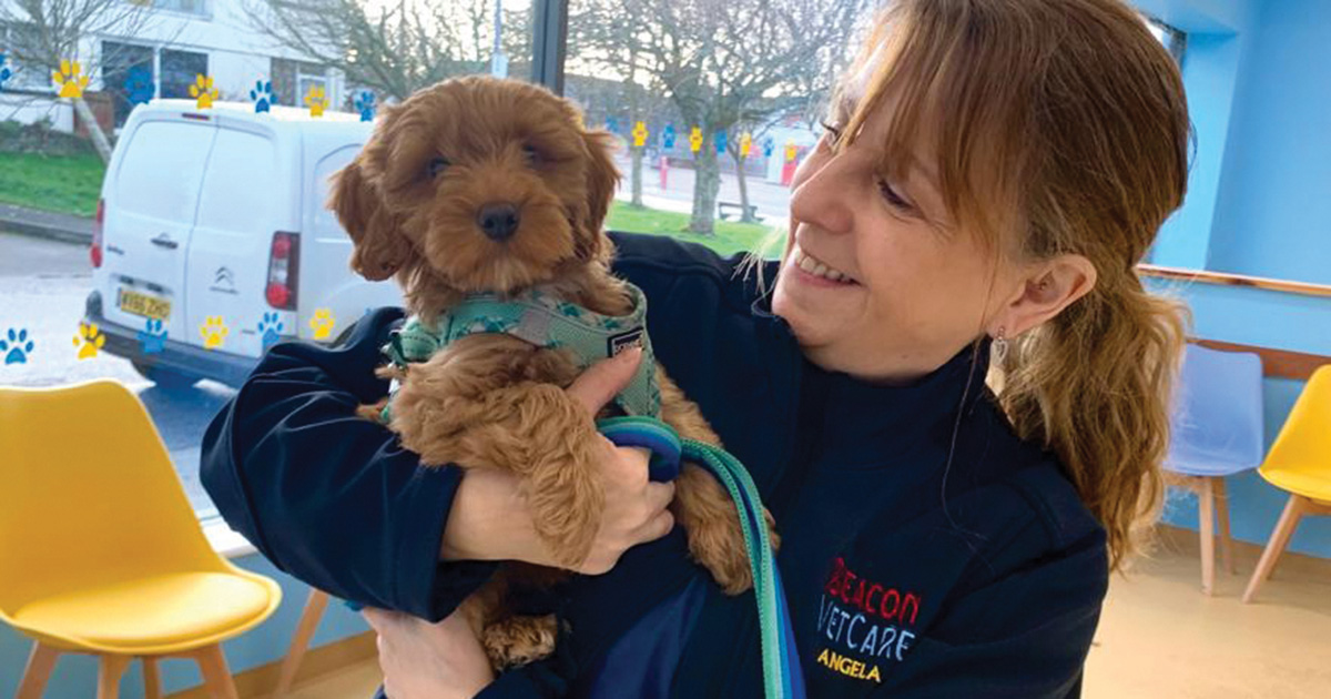 Practice Profile: Beacon VetCare