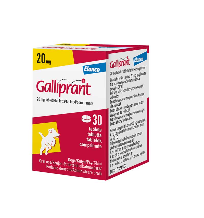 Explaining osteoarthritis pain and Galliprant to pet owners