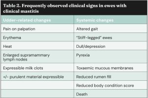 Mastitis in Meat Sheep: An Overview