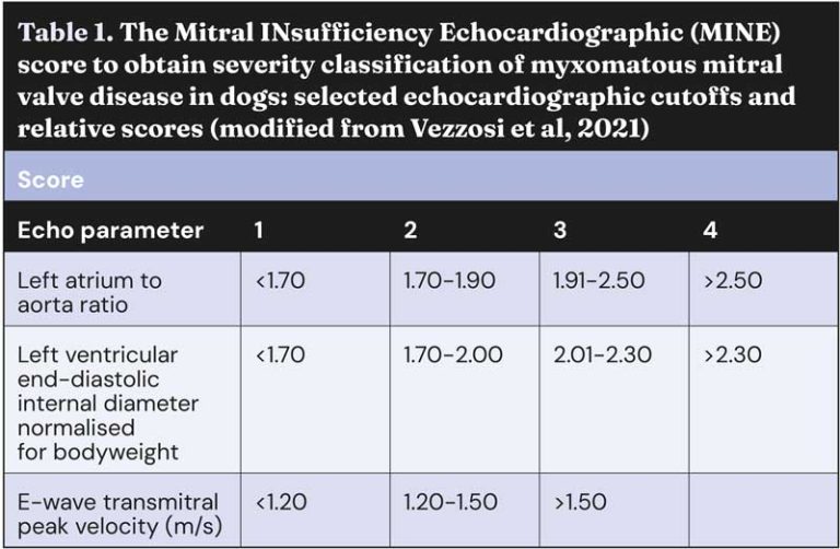 Diagnosis and management of mitral valve disease in dogs