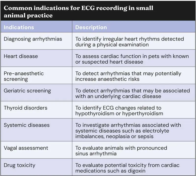 Reviving ECG and Holter monitoring for cardiology cases in everyday vet ...